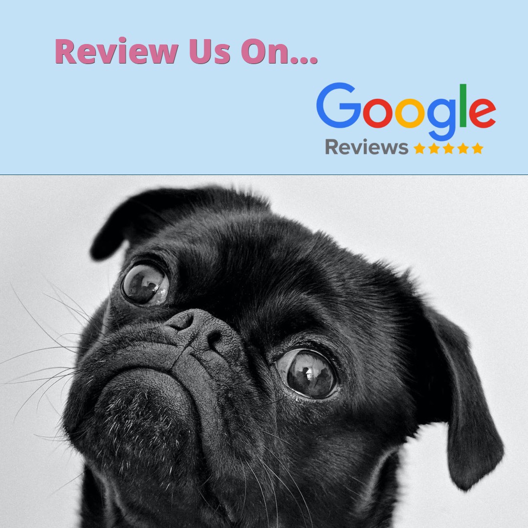 Pebblebrooke Animal Hospital